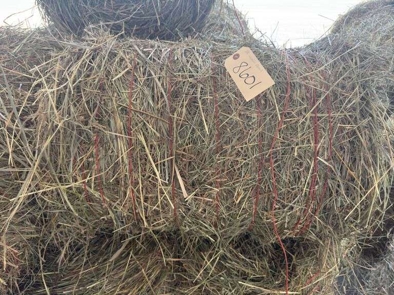 20 Mini Round Bales 1st Hay (Apx 20"x28") 2025 - Rogers Community ...