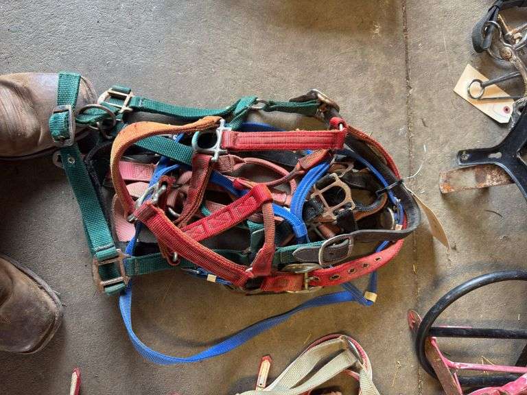5 Halters - Multiple Sizes - Rogers Community Auction Inc.