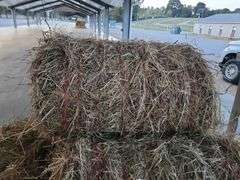 12 Mini Round Bales 1st Mix - Rogers Community Auction Inc.