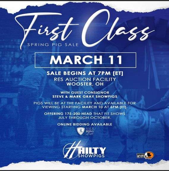 First Class Spring Pig Auction - RES Auction Services