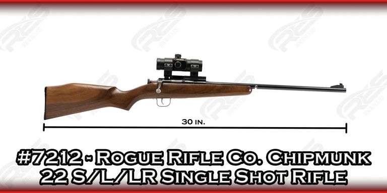 Rogue Rifle Co. Chipmunk 22 S/L/LR Single Shot Rifle - RES Auction Services
