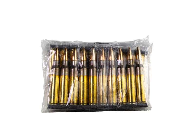 90rds Patron 5.56mm SKARP Ammo - RES Auction Services