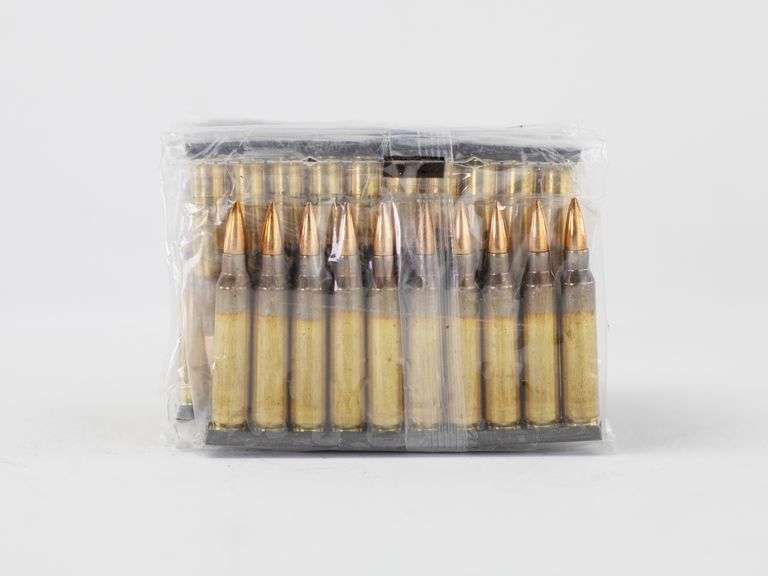 120rds Patron 5.56mm SKARP Ammo - RES Auction Services
