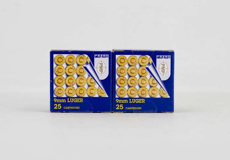 50rda PMP Denel 9mm 115gr FMJ Ammo - RES Auction Services