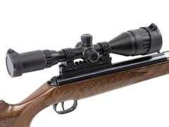 RWS Diana Model 460 Magnum 5.5 / .22 Cal Air Rifle - RES Auction Services