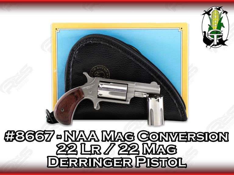 NAA Magnum Conversion 22 Lr / 22 Mag Derringer Pistol - RES Auction ...