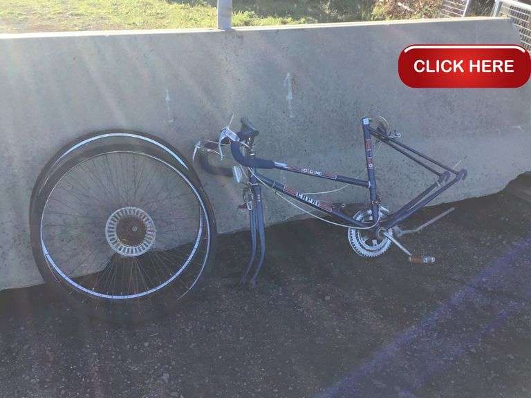 CCM Capri Frame & 2 Wheels - Rideau Auctions