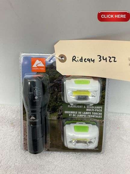 Headlamp/ flashlight combo pack - Rideau Auctions