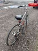 Giant Cypress - Rideau Auctions