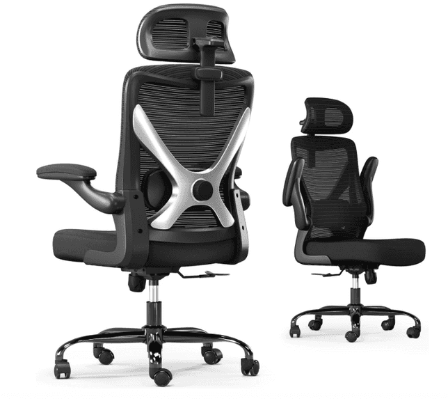 Ergalithic Ergonomic Office Chair | Open Box | (See Condition Notes ...