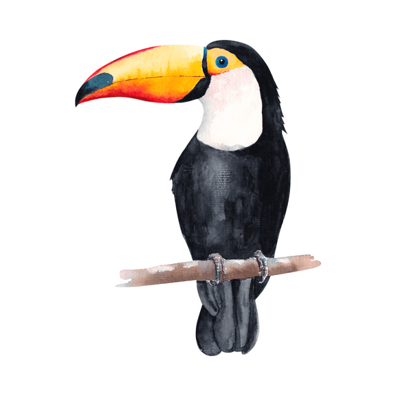 Tuesday Toucan - (Ends 7PM Tuesday 3/26/24) - Auction A - Rio Grande Trade