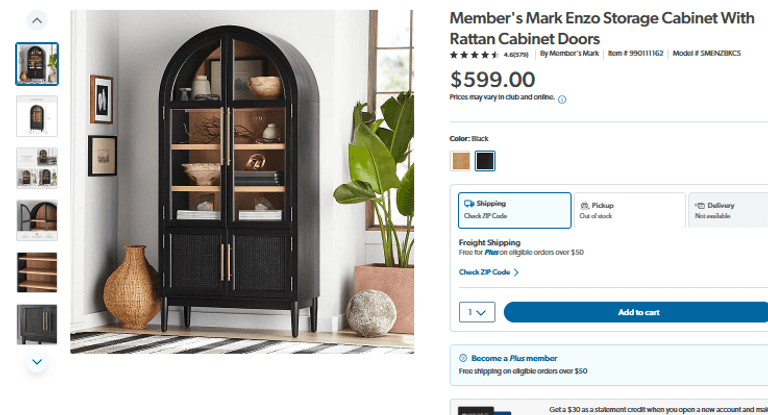Member's Mark Enzo Storage Cabinet With Rattan Cabinet Doors | Like New ...