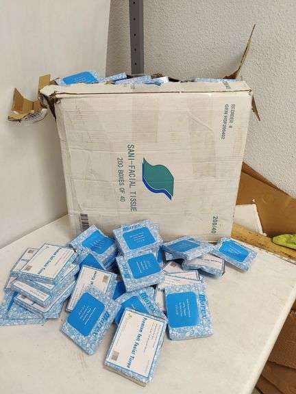 Sani Facial Tissue, 40 Sheets Small Boxes, 1 Box | Open Box | (See ...