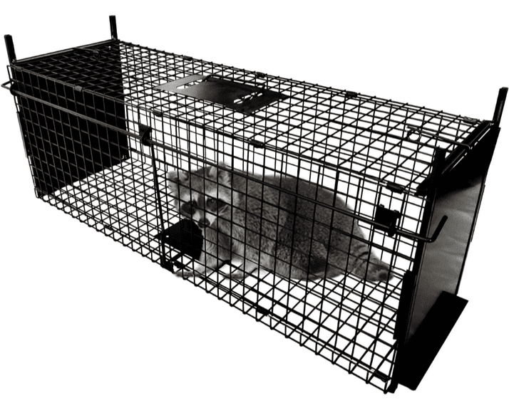 THEALYN Animal Cage Trap, 32 x 13 x 10" | Open Box - Rio Grande Trade