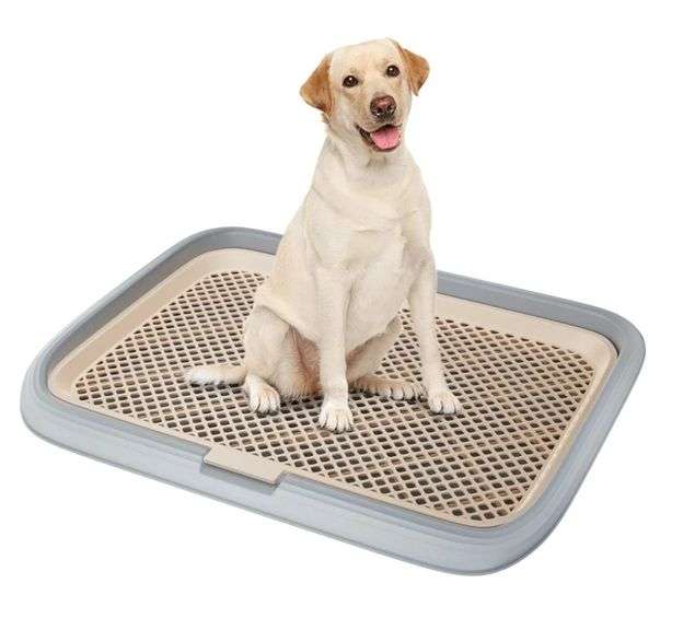 Kola Panda Indoor Large Dog Potty Tray w/ Mesh Floor | Open Box | (See ...