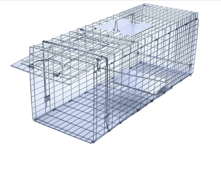 Faicuk Large Collapsible Humane Live Animal Trap 32 x 11 x 13 Inch ...