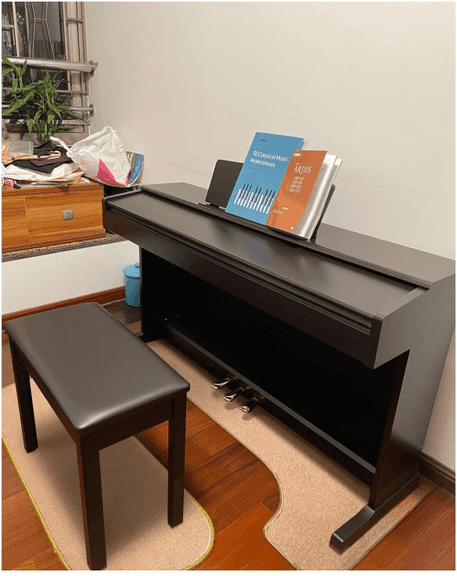 Soundproof Piano Rug Set, 2pc, 1.6m | Open Box - Rio Grande Trade