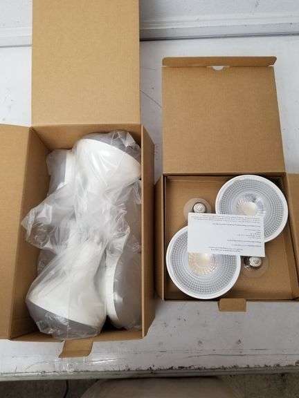 ECOSMART 90W Replacement LED Bulb PAR38 4-pack, 75W Replacement LED ...