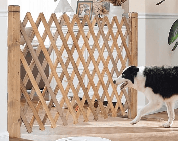 Retractable Wooden Fence, Pet or Kid Gate, &/or Garden Trellis Fence ...