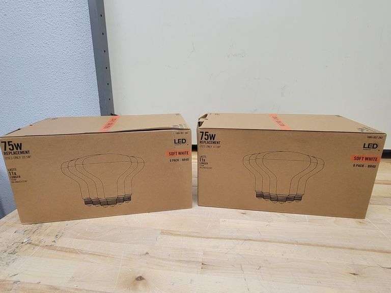 6 Pack 75W BR40 Soft White LED Indoor Light Bulbs Set of 2 | Open Box ...
