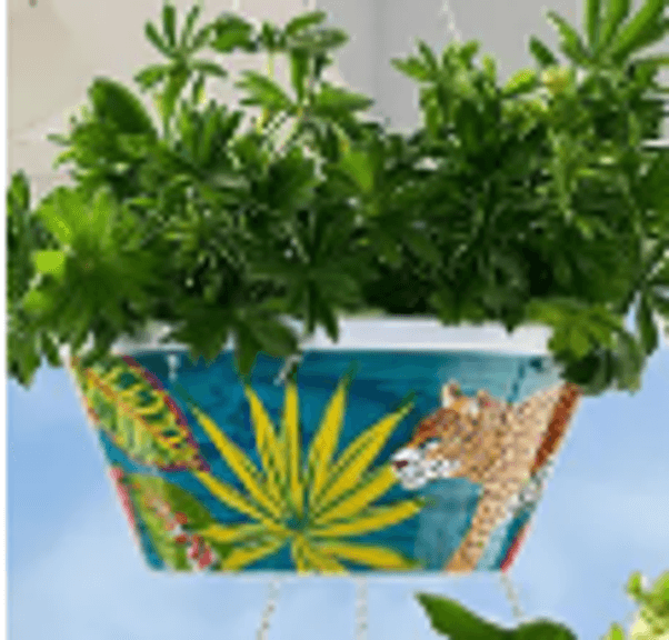 Member's Mark 14" Hanging Melamine Flower Pot with Stainless Steel ...