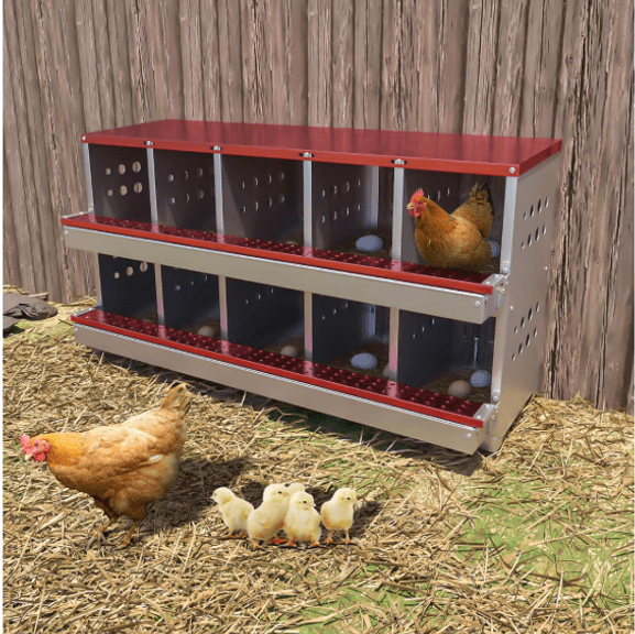Hipicute Metal Chicken Nesting Box for Laying Eggs | Open Box - Rio ...
