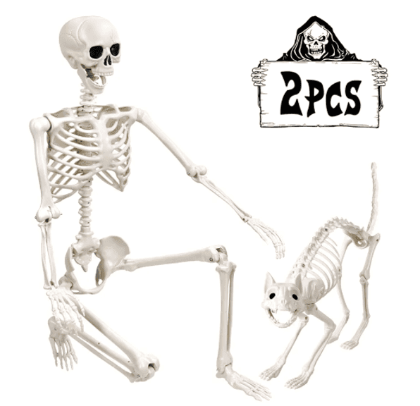 XOYTN 5.4Ft Human Skeleton And Cat Skeleton | Open Box | (See Condition ...