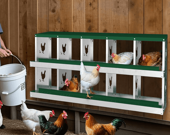 Garvee 10 Compartments Metal Chicken Nesting Boxes | Open Box - Rio ...