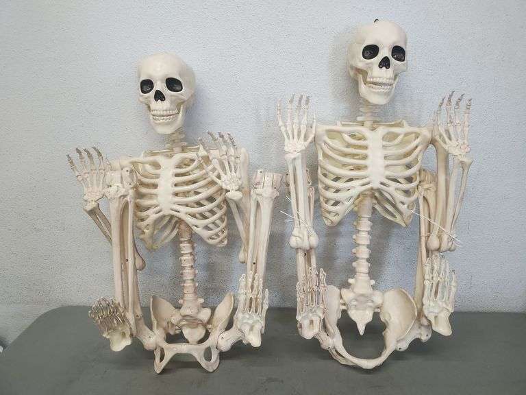 Member's Mark 2 Piece Animated Skeleton Halloween Decor | Open Box ...