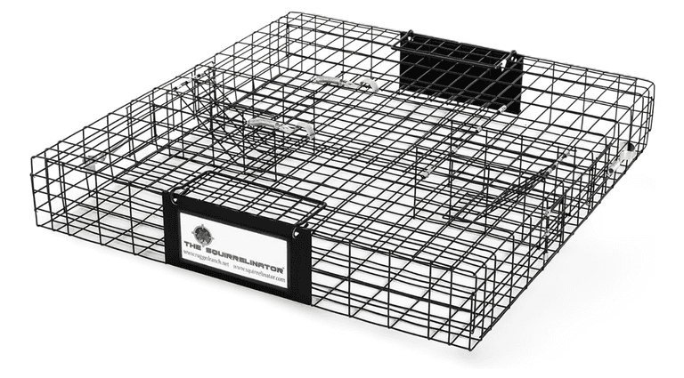 Rugged Ranch Squirrel Trap, Live Animal Catch & Release Cage ...