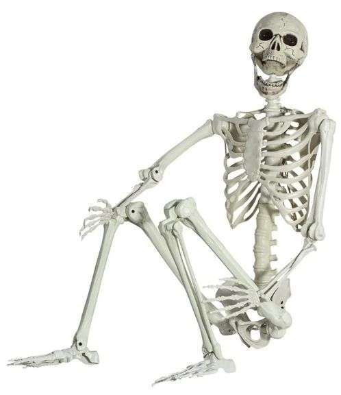EVINIS 5.4' Posable Halloween Skeleton | Open Box | (See Condition ...