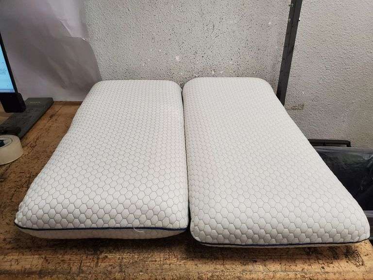 Orthopedic Memory Foam Pillows 2pck | Open Box | (See Condition Notes ...