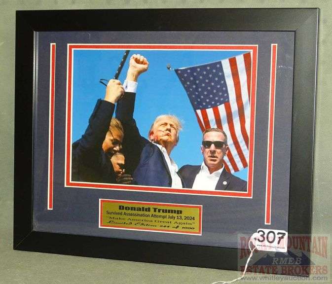 Donald Trump - Survived Assassination Print "Make America Great Again ...