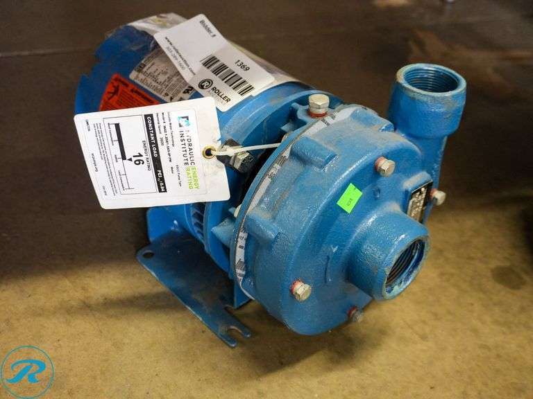 Weg Centrifugal Pump - Roller Auctions