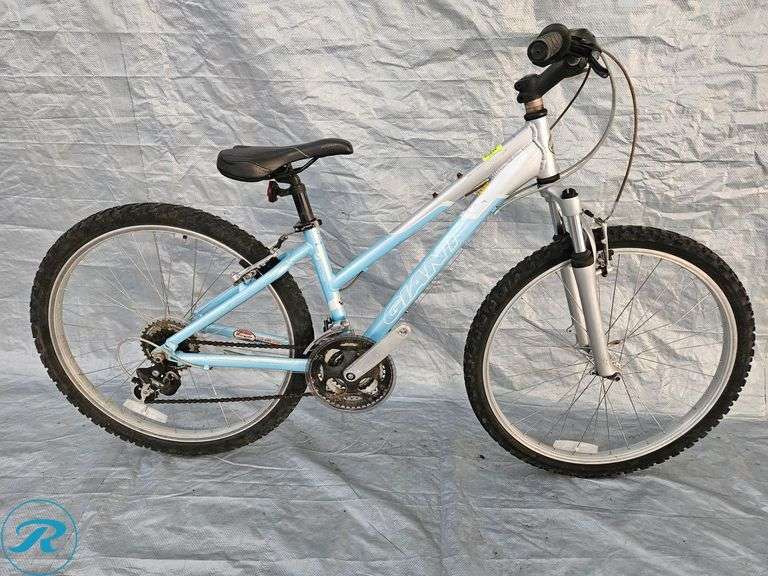 Giant Drop Bar Bicycle, Small Frame, Seat Post 14" - Roller Auctions