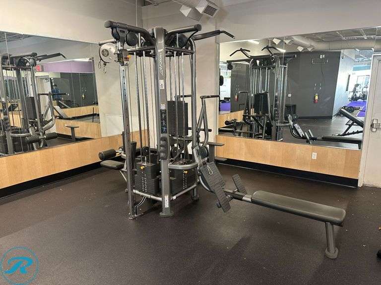 Life Fitness 4-Station Multi Jungle With Assist Dip, Lat Pulldown ...
