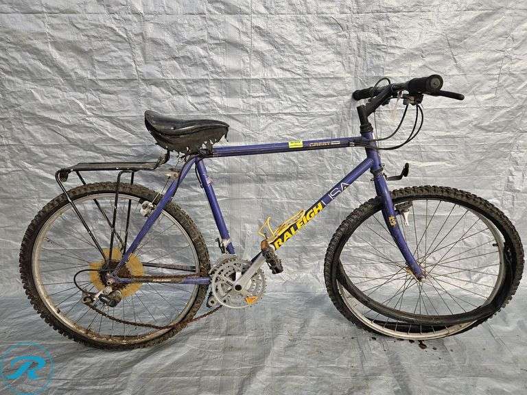 Raleigh USA Crest Bicycle, Seat Post 20" - Roller Auctions