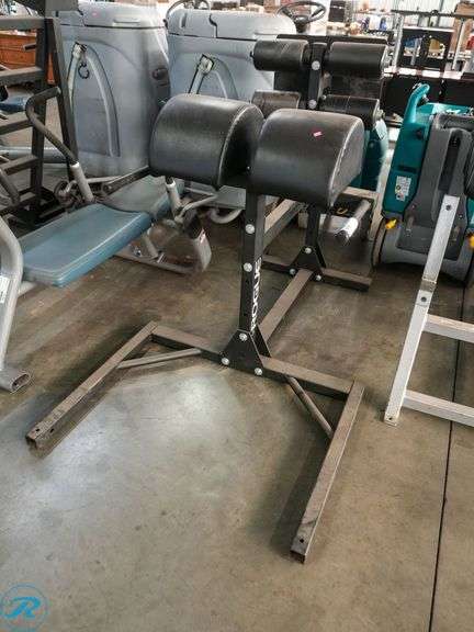 Rogue Fitness Abdominal Bench - Roller Auctions