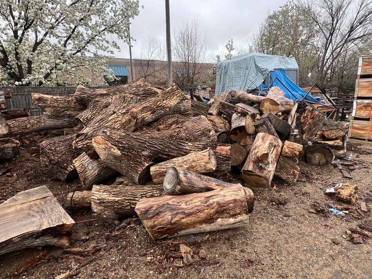 Large Inventory Of Tree Stumps - Roller Auctions