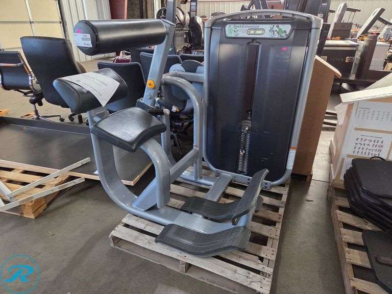 Matrix Back Extension Strength Training Machine - Roller Auctions