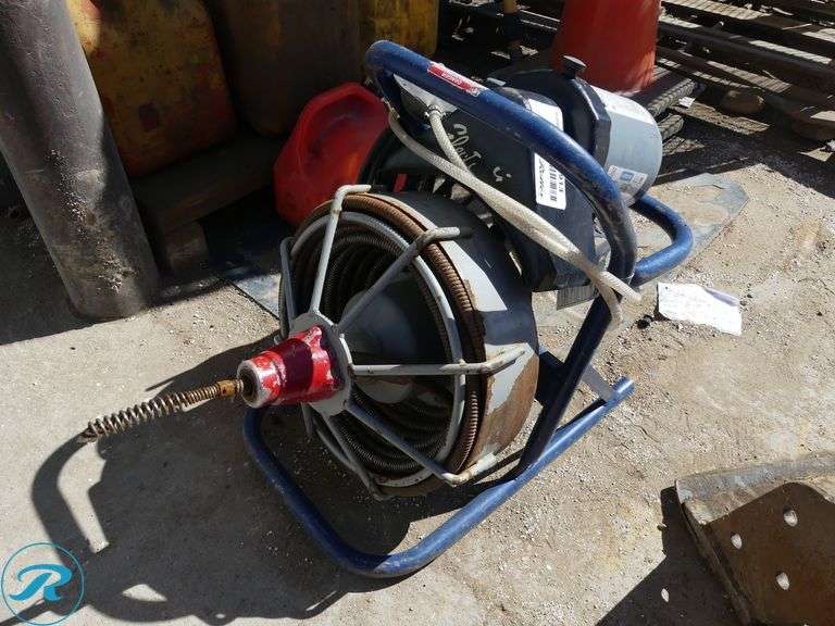 Electric Eel Pipe Snake - Roller Auctions