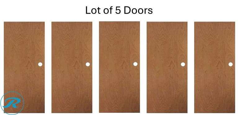 (5) RELIABILT 36-in x 80-in Unfinished Flush Smooth Hollow core ...