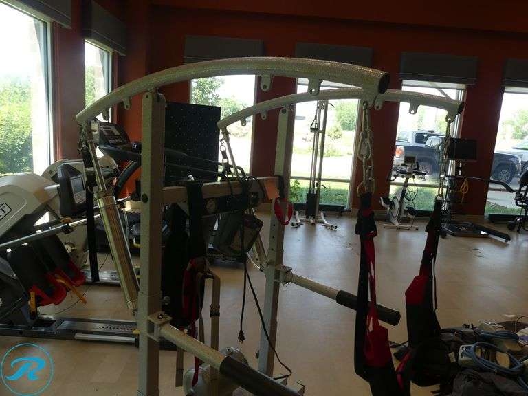 Pneumex Pneu-Walker MT Mobility Trainer - Roller Auctions