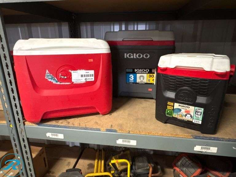 3 Igloo Coolers – Various Models and Capacities - Roller Auctions