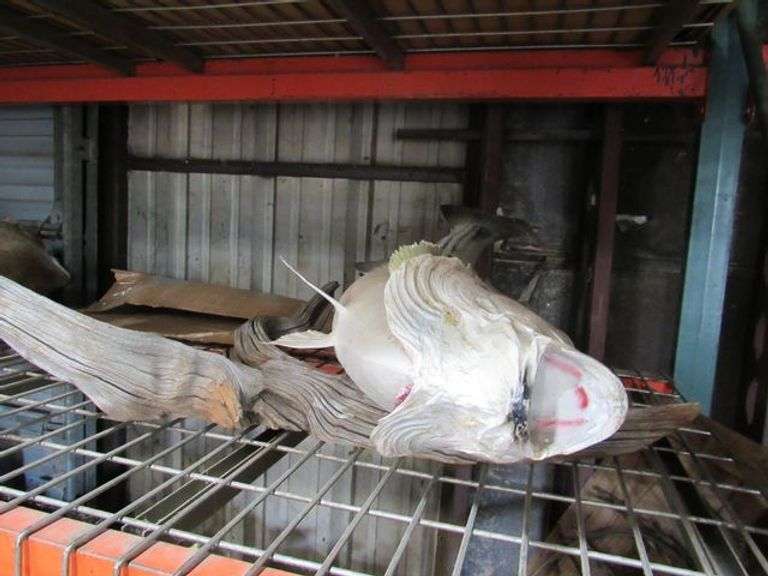 TROPHY FISH, APPROX. 36" - Rosen Systems