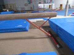 SPIETH ANDERSON BALANCE BEAM, IAROV ELITE, ADJUSTABLE - APPROX. 197 ...