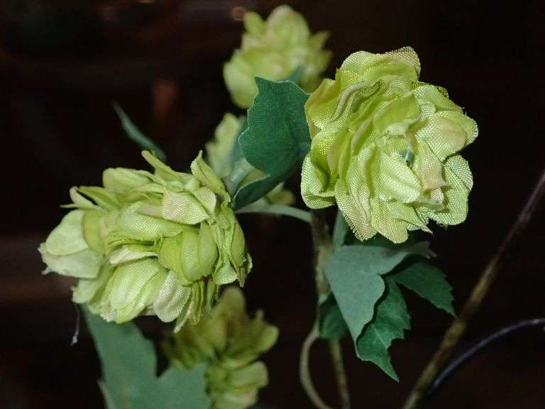DAINTREE DECORATIVE VASE - SNOW WHITE W/ FAUX GREEN HOP STEMS - Rosen ...