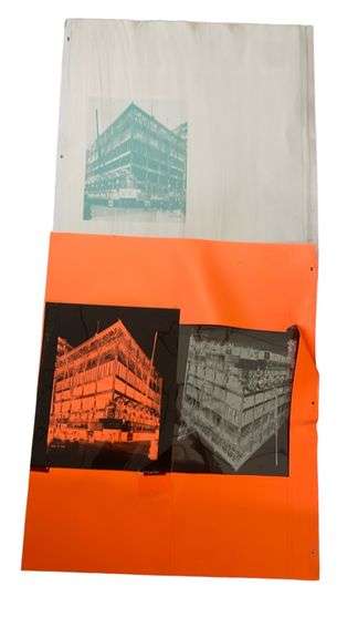 Rollman Illustration - reSettled Life