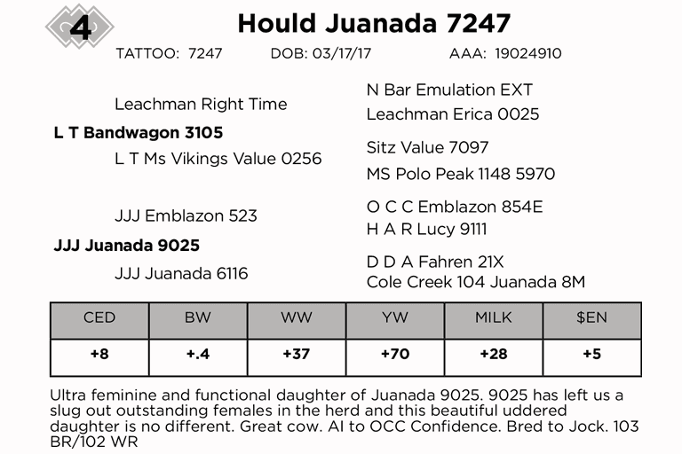 Hould Juanada 7247 - Salering.live