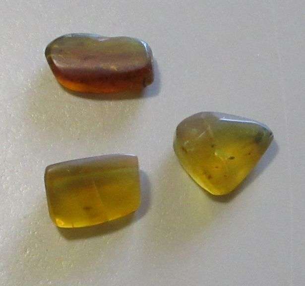 BURMITE AMBER 100 MILLION YEARS OLD INSECTS ENCASED SEE WITH MAGNIFYING ...